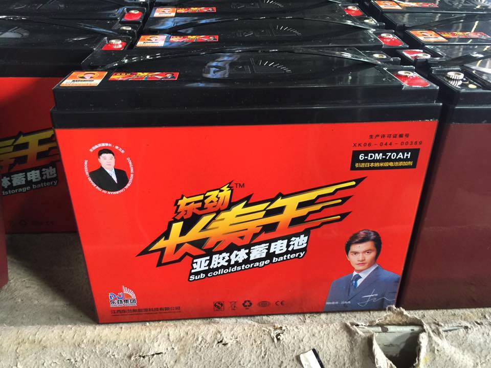 30Ah DLDC GOLDEN SUN 12V Incubator Battery - Shakil Farming